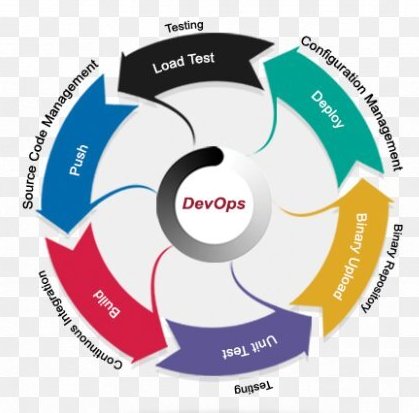 Case Studies - Satwic Inc